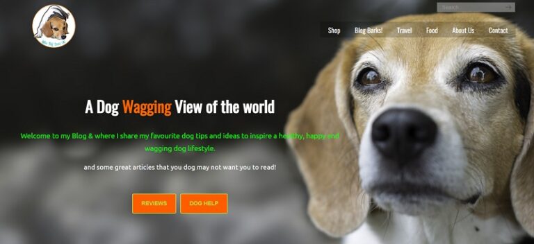 Top 47 Pet Blogs To Follow in 2024 | Pango Pets