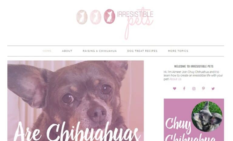 Top 47 Pet Blogs To Follow in 2024 | Pango Pets