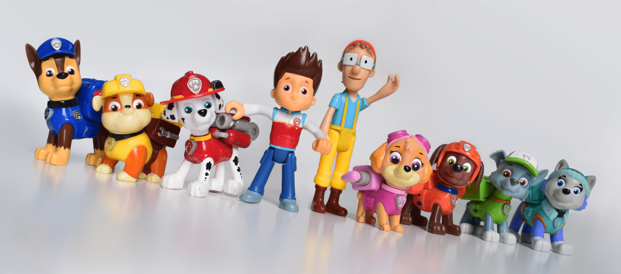 What Kind of Dogs Are the Paw Patrol? | Pango Pets